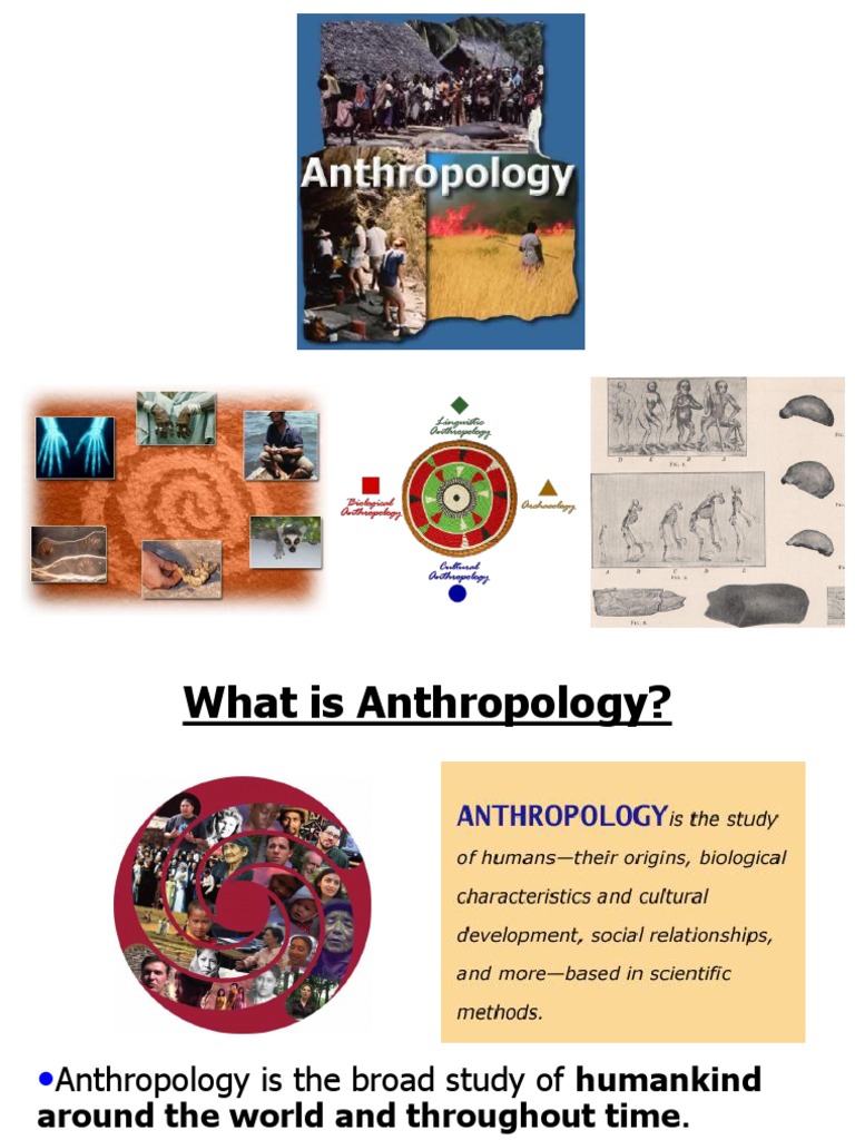 An Introduction to the Four Main Subfields of Anthropology: Physical ...