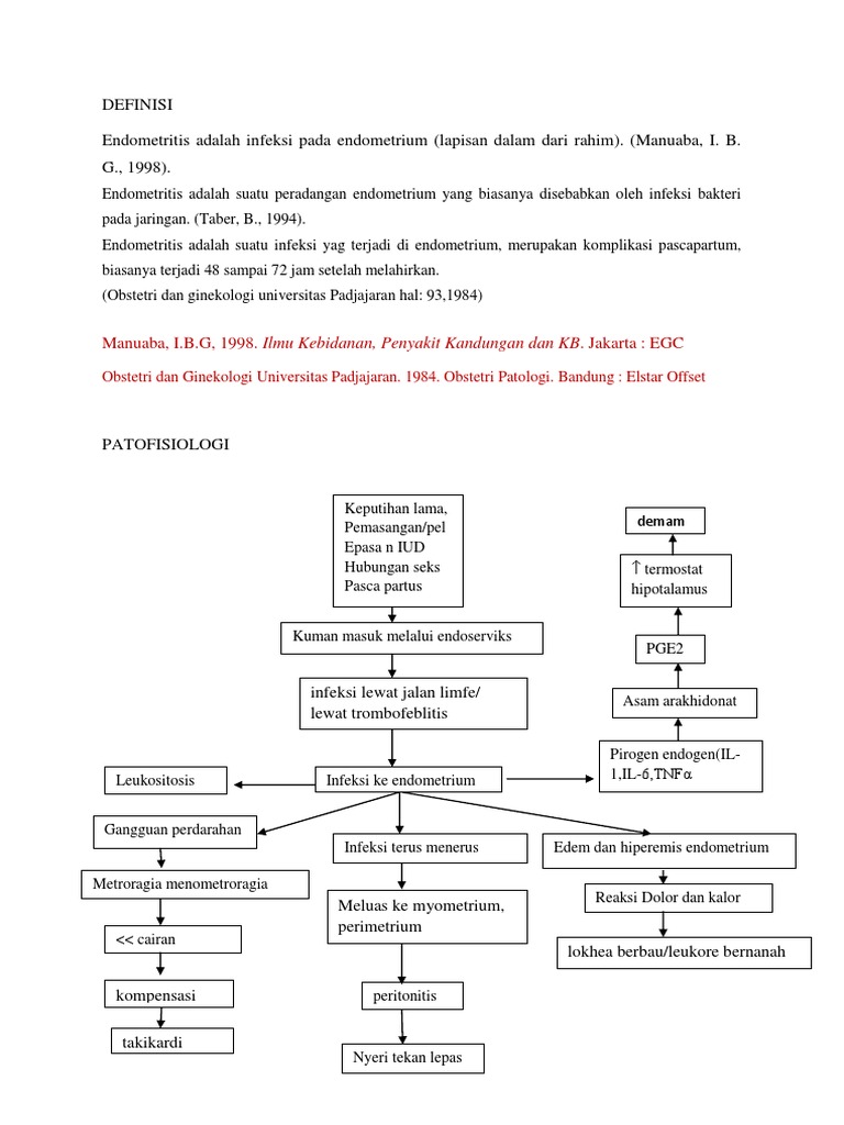 Endometritis Def Patof | PDF