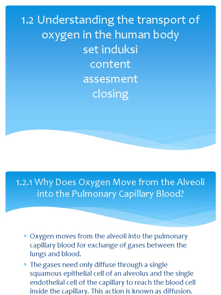 Oxygen Transport in the Human Body | PDF | Wellness