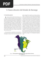 Fauna Diversa de Michoacán | PDF | Mamíferos | Zoología