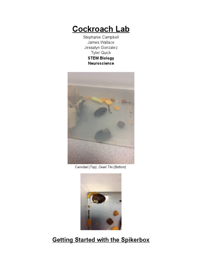 Cockroach Lab: Getting Started With The Spikerbox | PDF | Somatosensory ...