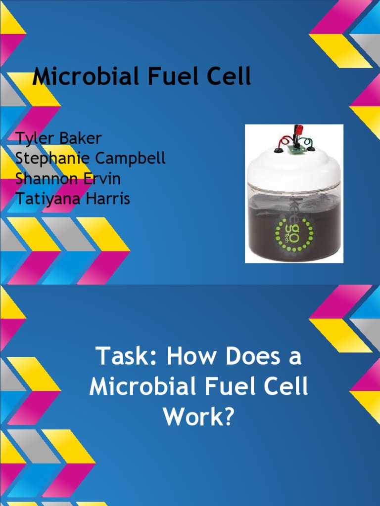 Microbial Fuel Cell Presentation | PDF | Fuel Cell | Anode