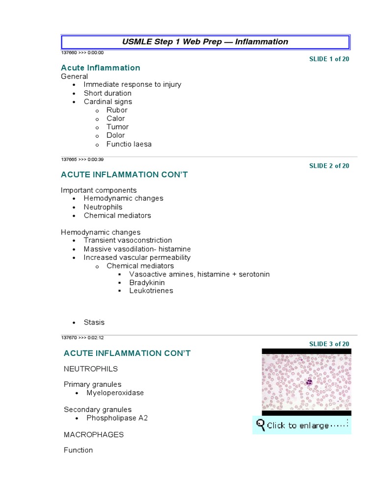Acute Inflammation: USMLE Step 1 Web Prep - Inflammation | PDF ...