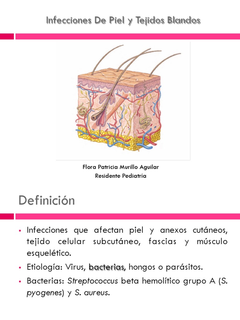 Infeccion Piel Tejidos Blandos | Staphylococcus Aureus | Microorganismo