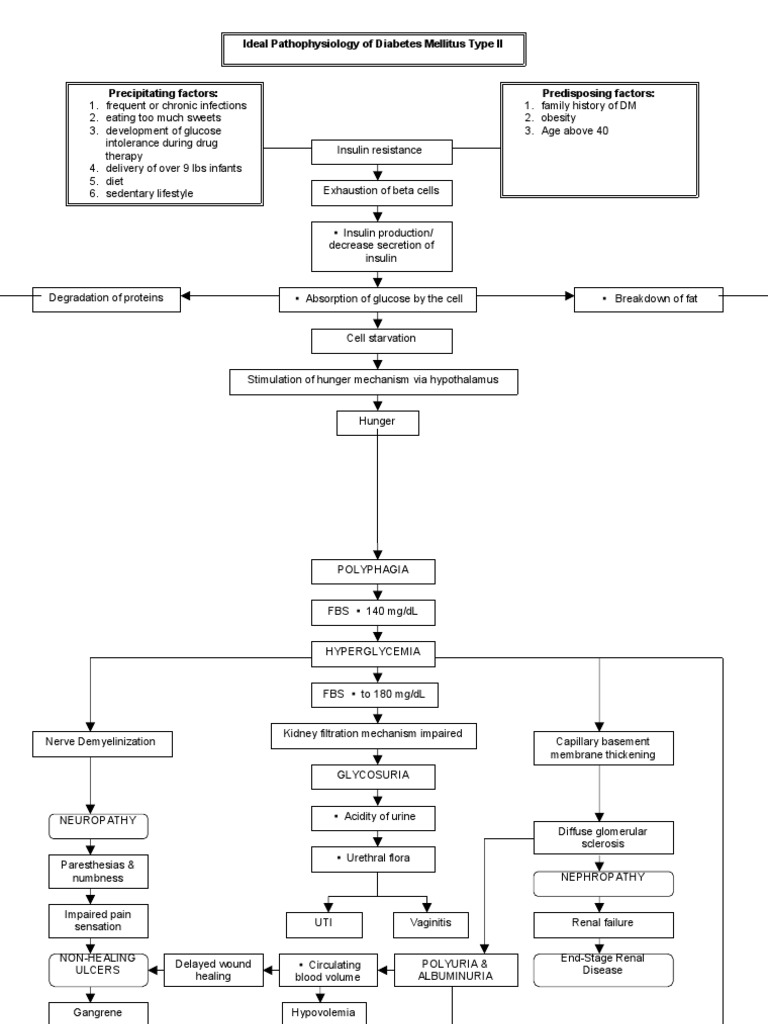 Pathophysiology of Type 2 Diabetes | PDF | Blood | Blood Vessel