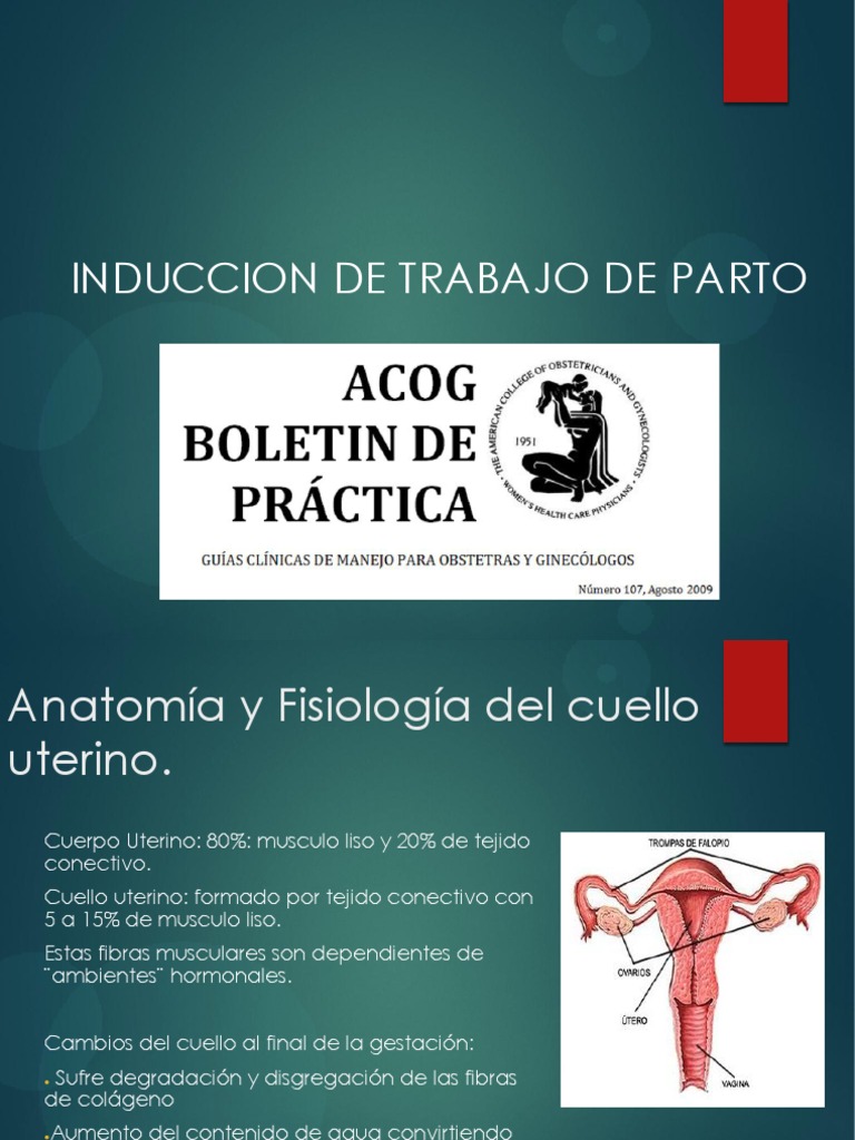 Induccion de Trabajo de Parto | PDF | Parto | El embarazo