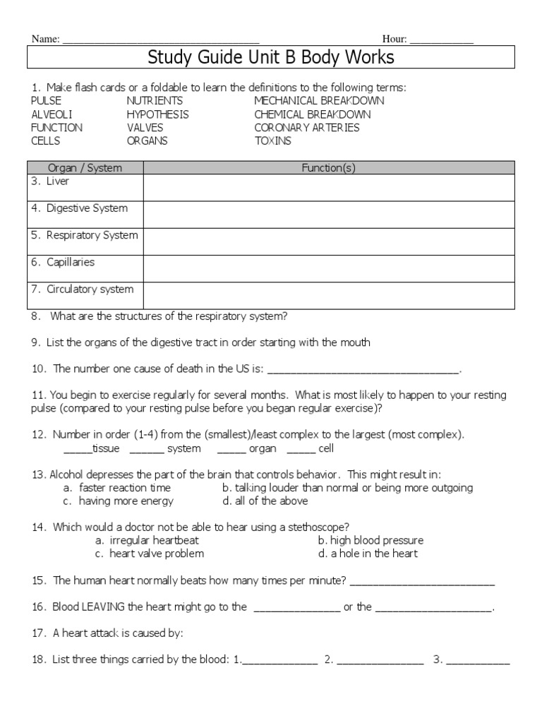 Microsoft Word - Study Guide 2012 | PDF | Heart | Circulatory System