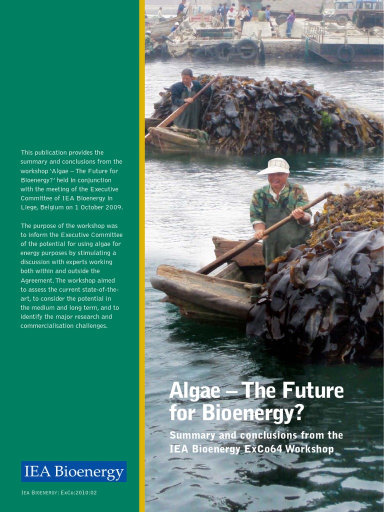 IEA ExCo64 Algae The Future For Bioenergy Summary and Conclusions | PDF | Algae Fuel | Biofuel