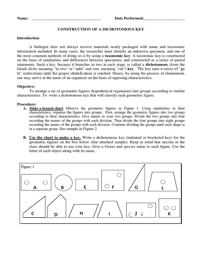 Constructing a Dichotomous Key Guide | PDF | Career & Growth | Computers