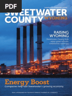 Zeeco High Energy Igniters (HEI) | PDF | Technology & Engineering