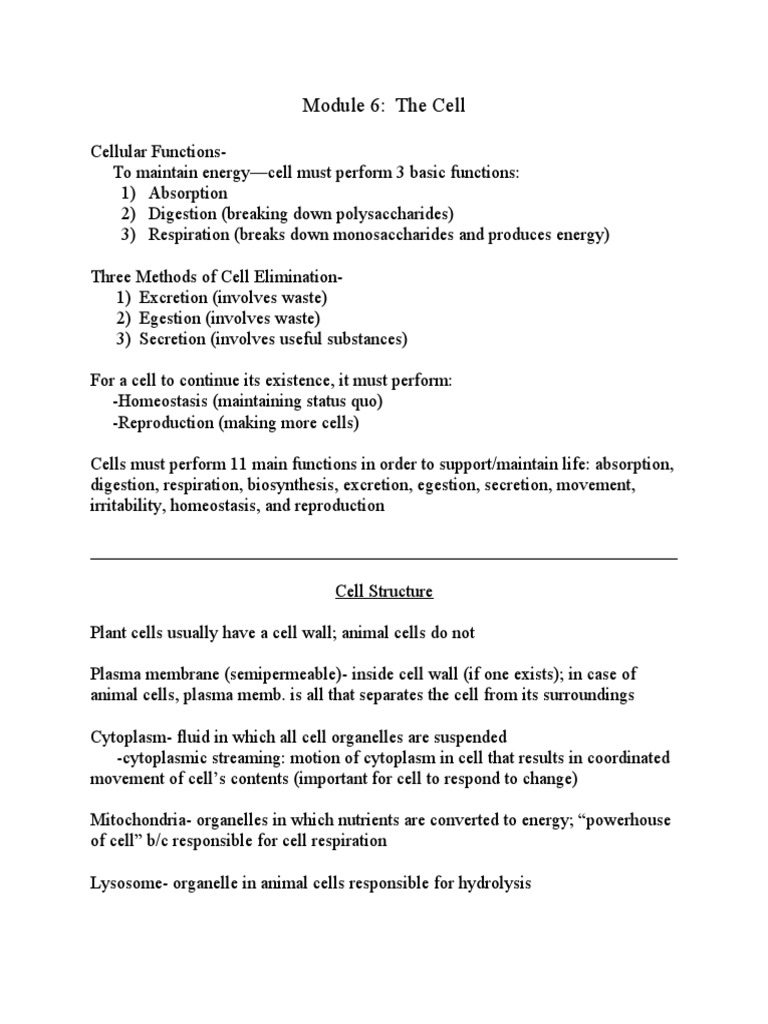 Apologia Biology Class Module 6 Notes | PDF | Cellular Respiration ...