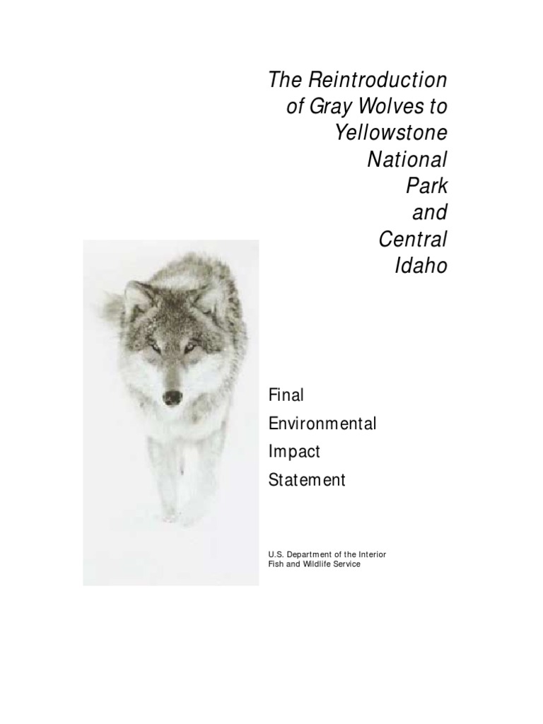 Fws 1994 Wolf Study | PDF | Gray Wolf | Endangered Species Act Of 1973