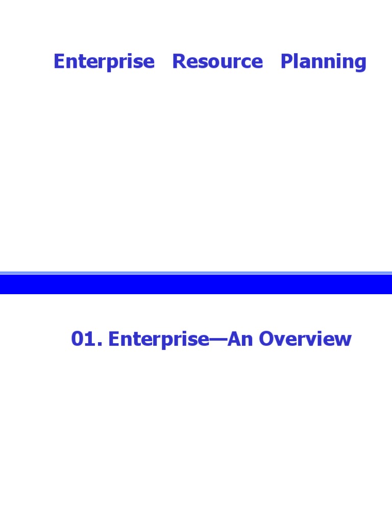 ERP1 | PDF | Enterprise Resource Planning | Data Model