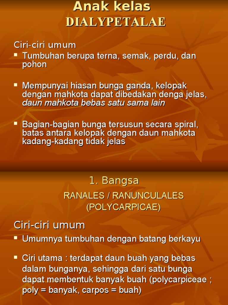 Ciri-ciri Dialypetalae dan Sympetalae | PDF