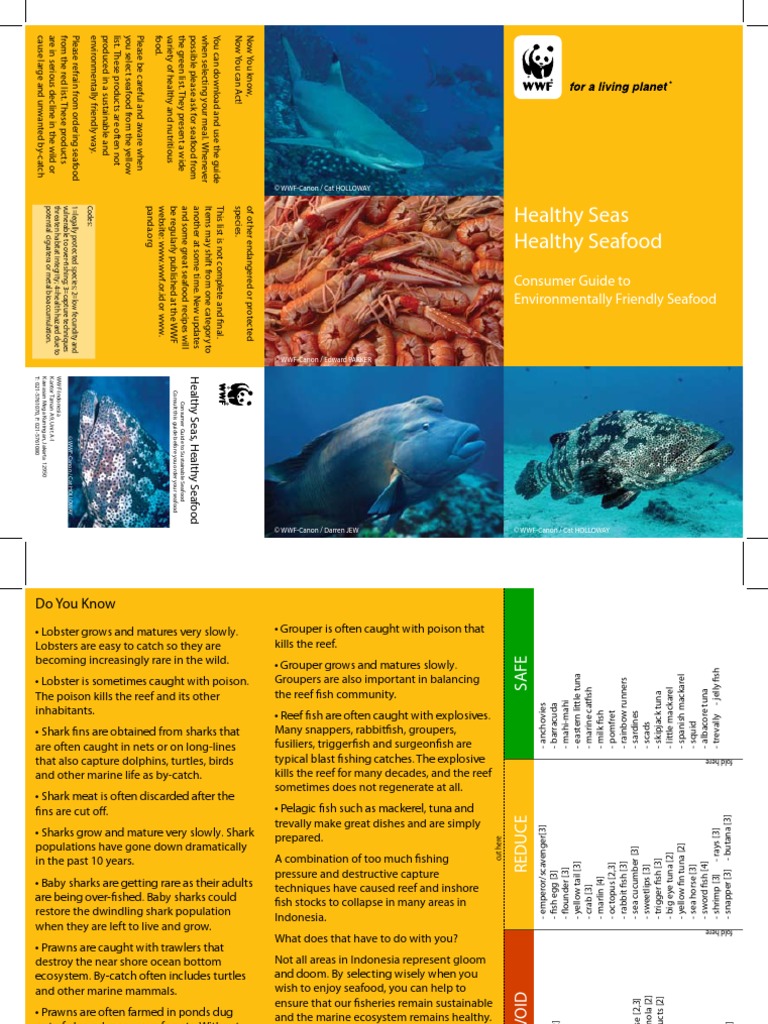 WWF Id Seafood Guide Eng 090507 | PDF | Overfishing | Fish
