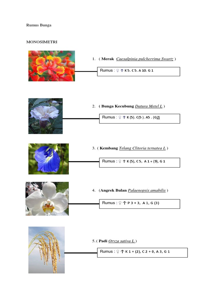 Rumus Bunga | PDF