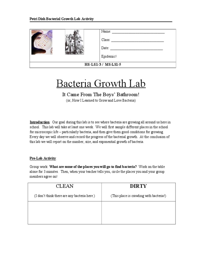 Bacterial Growth Lab Activity Report | PDF | Observation | Chart