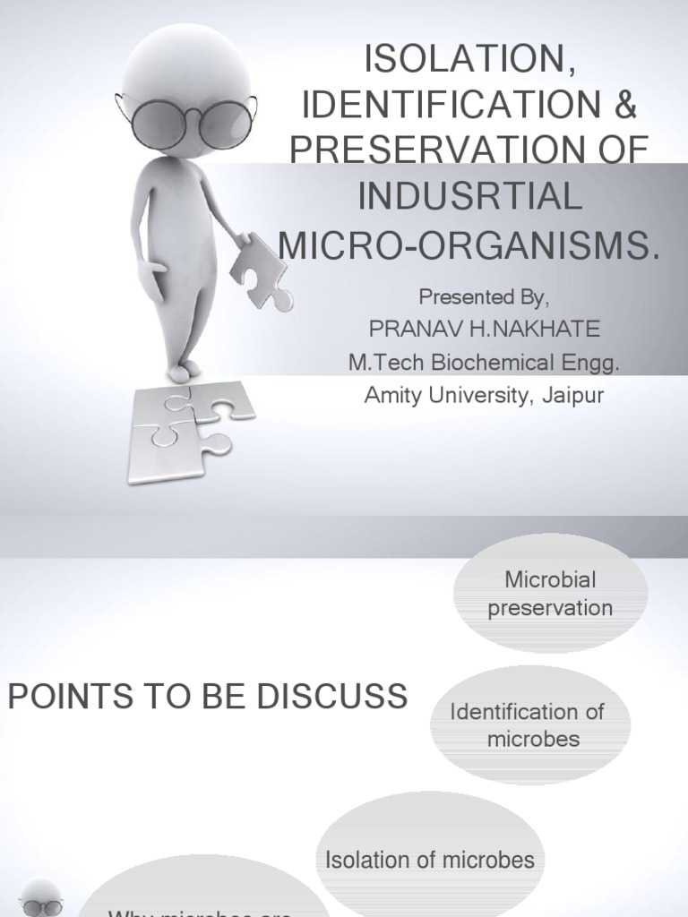 Isolation, Identification, & Preservation of Indusrtial | PDF ...