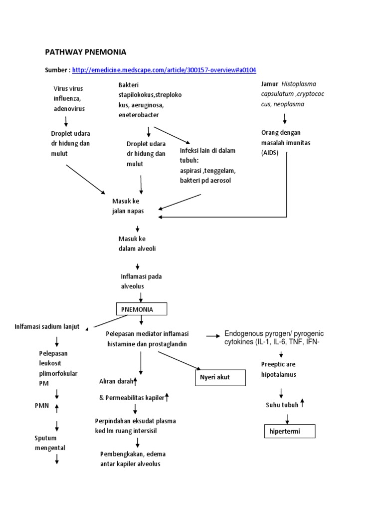 Pathway Pneumonia Medscape