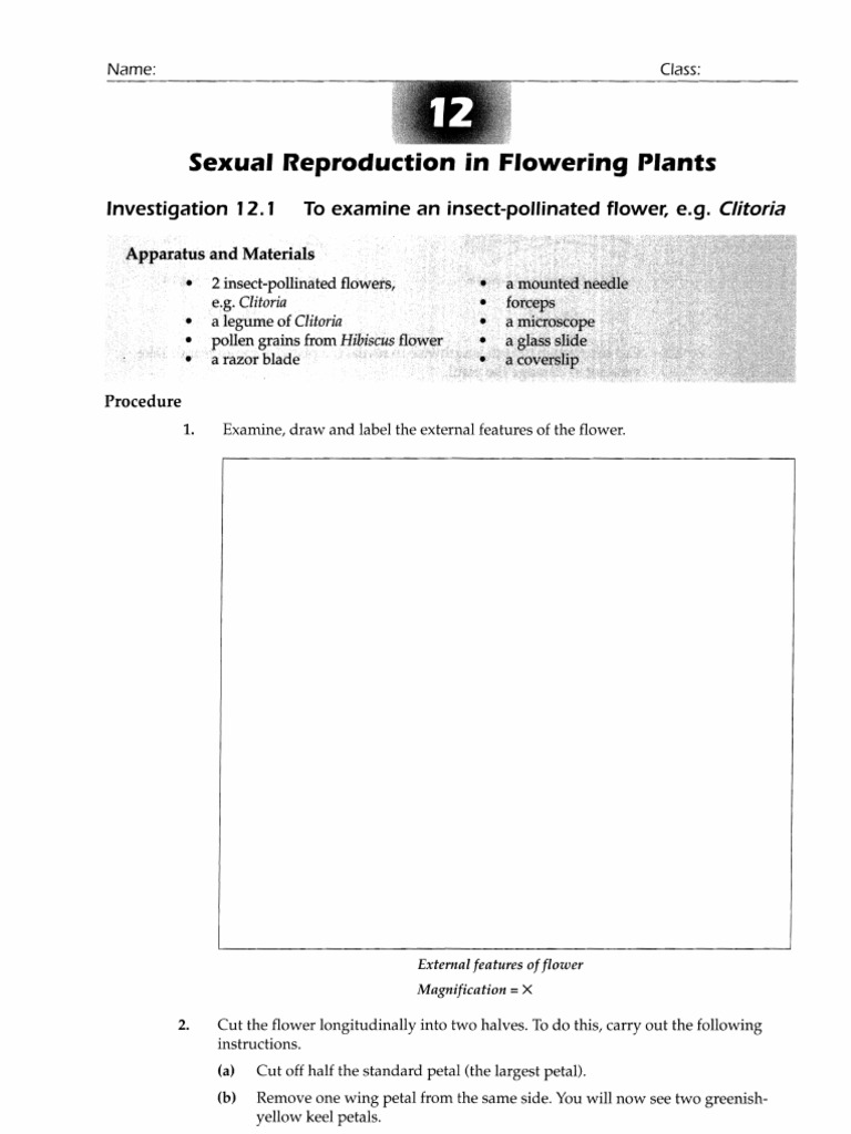 Sexual Reproduction - Flowering Plants | PDF | Fruit | Flowers