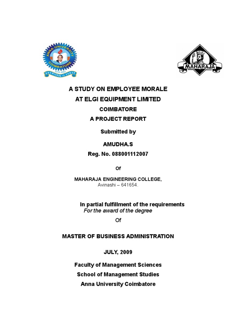 Employee Morale | PDF | Warehouse | Survey Methodology