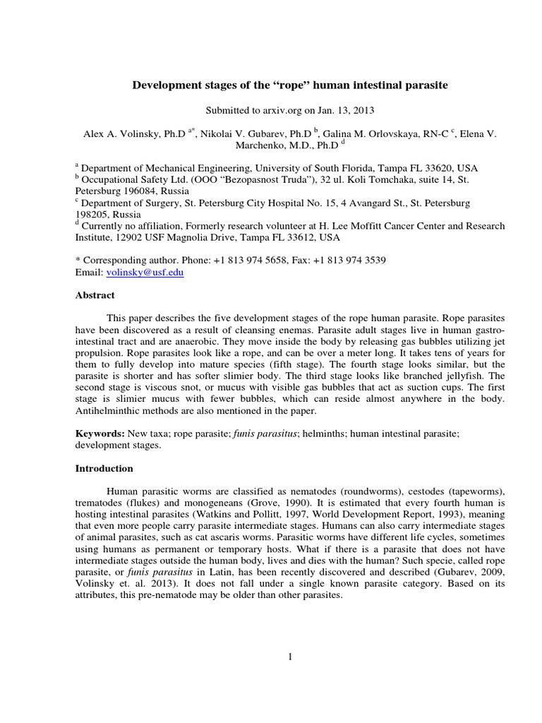 Development Stages of The "Rope" Human Intestinal Parasite | PDF ...