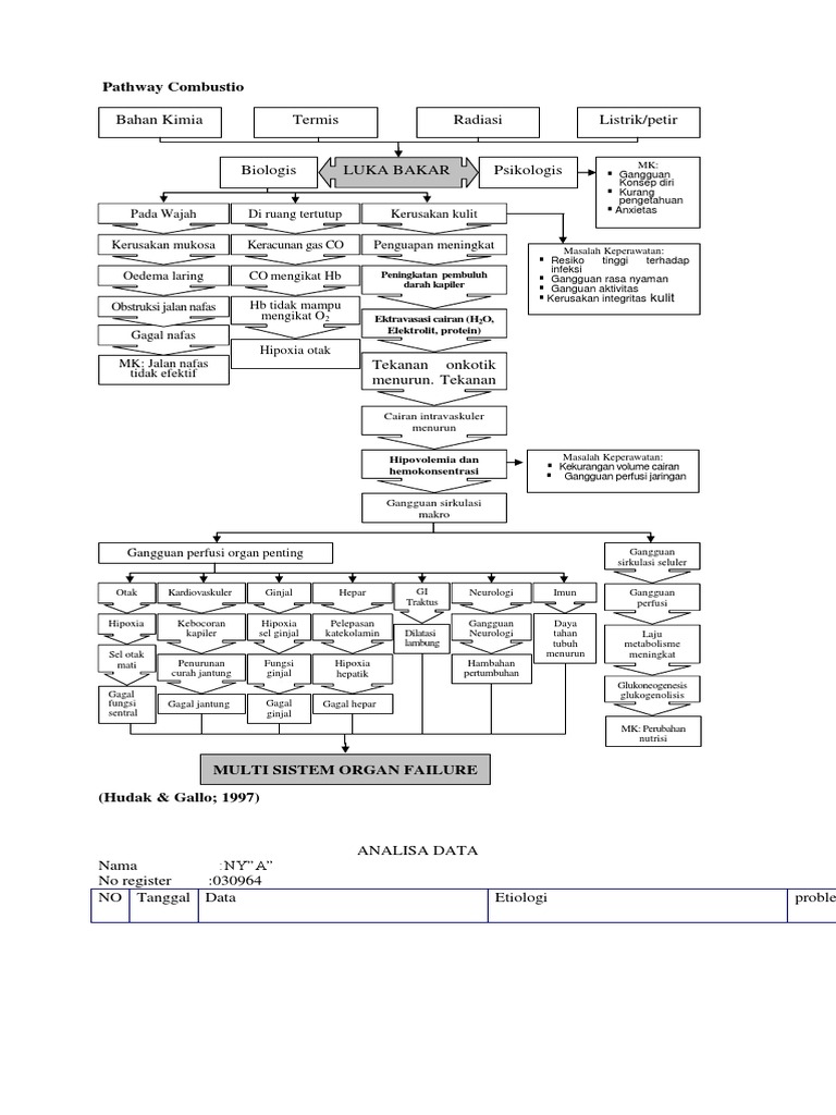 29797198 Pathway Combustio