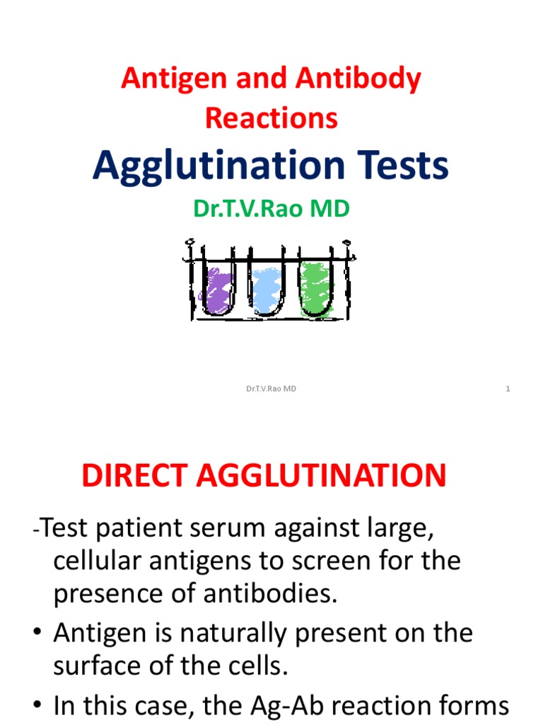 Antigen and Antibody Reactions Agglutination Tests | PDF | Elisa ...