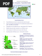 Lesson 10: Forest Ecosystem Overview | PDF | Trees | Rainforest