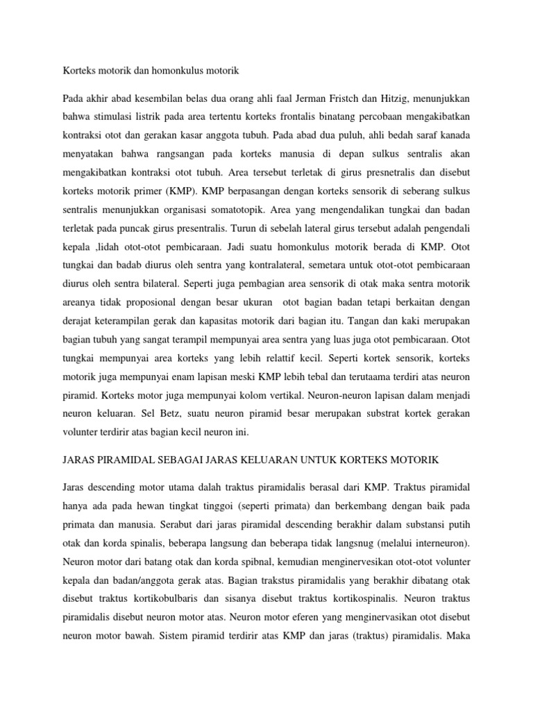 Korteks Motorik Dan Homonkulus Motorik | PDF