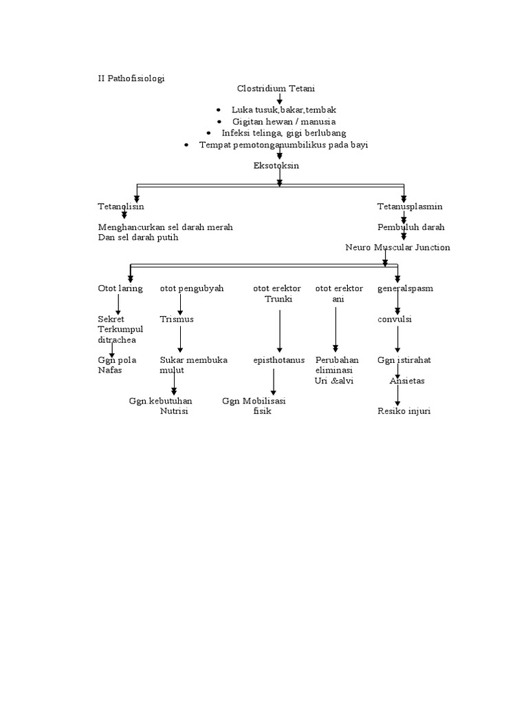 Pathway Tetanus | PDF