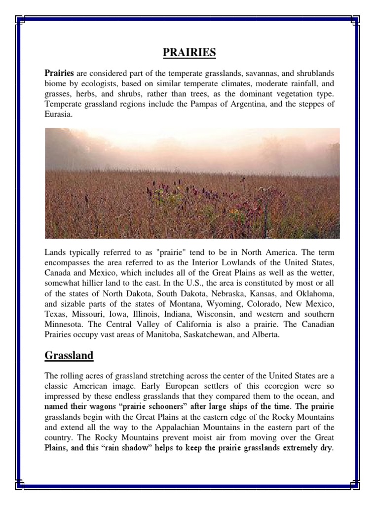 Prairies: Prairies Are Considered Part of The Temperate Grasslands ...