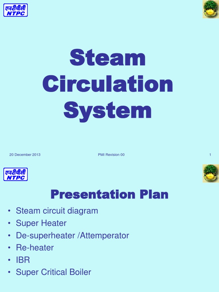 Steam Circulation System and Water and Steam Circuit Diagram for a ...