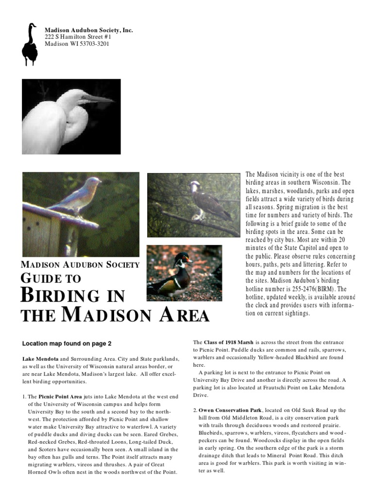 Guide To Birding in The Madison Area | PDF | Bird Migration | Birdwatching