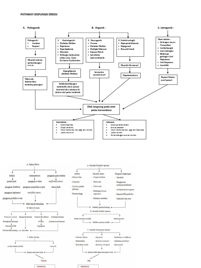 Pathway Infertilitas | PDF