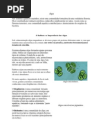 Aula Teórica - Algas Verdes | PDF | Eucariotas | Biologia