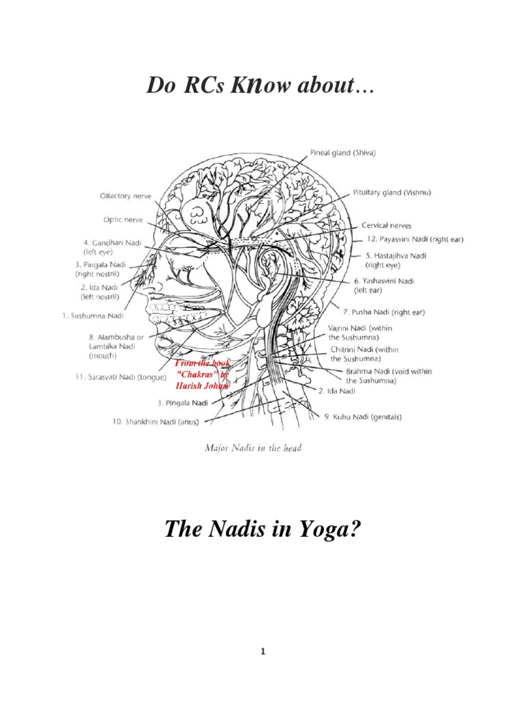 Do RCs Know About The Nadis in Yoga? | PDF | Chakra | Kundalini