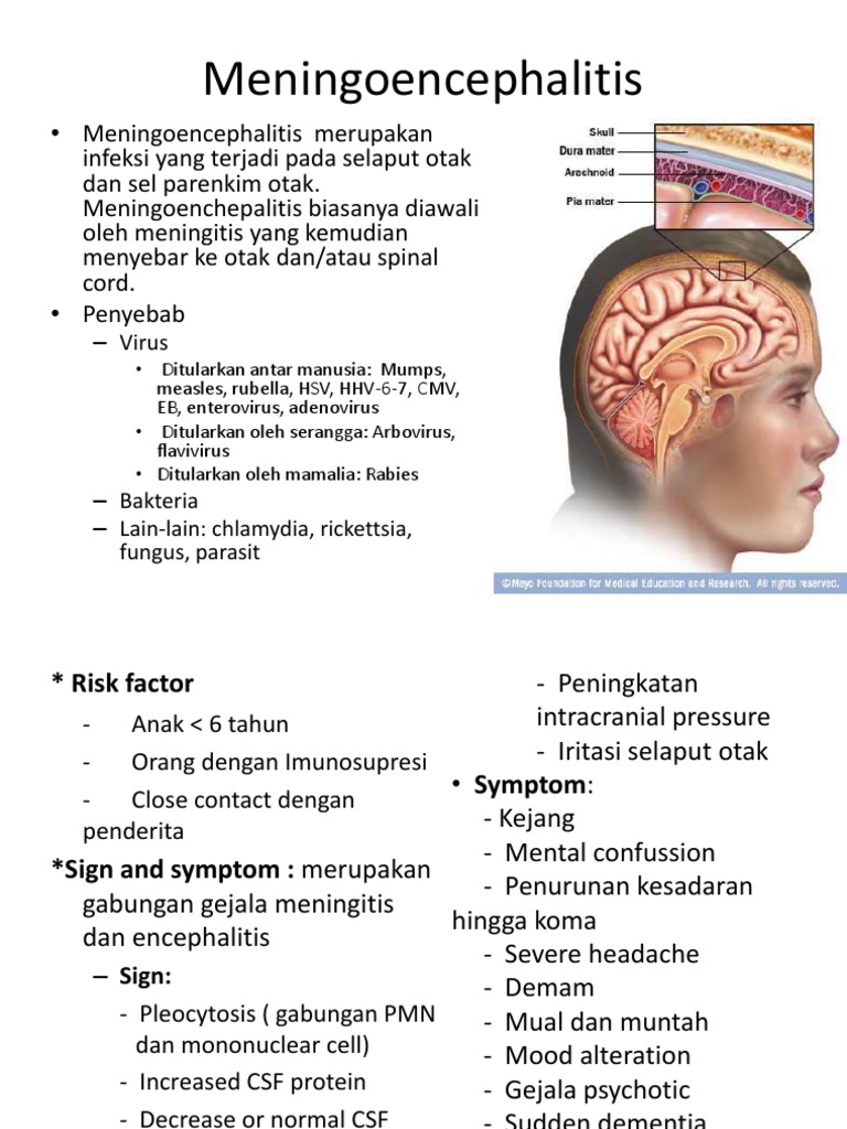 Meningoencephalitis | PDF