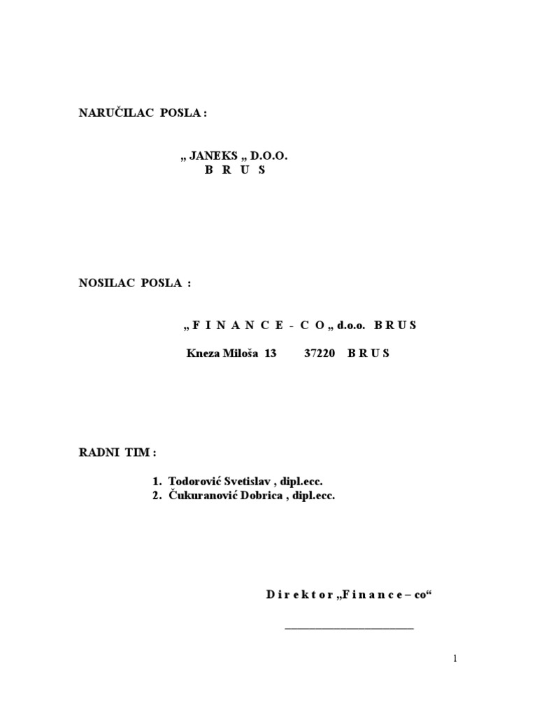 Janex Poslovni Plan | PDF