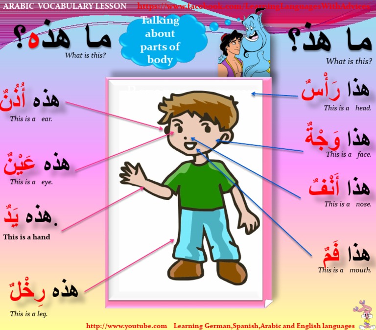 Arabic Body Parts Vocabulary Guide | PDF | Language Arts & Discipline ...