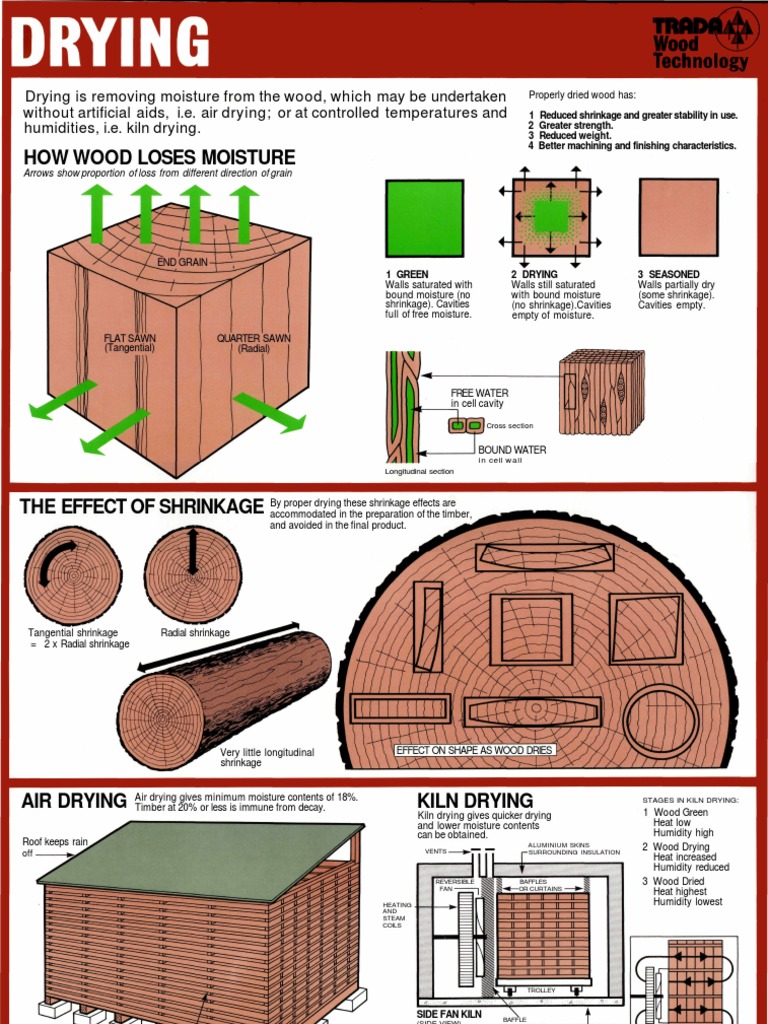 Wall Chart - Drying - How Wood Loses Moisture | PDF | Wood | Building