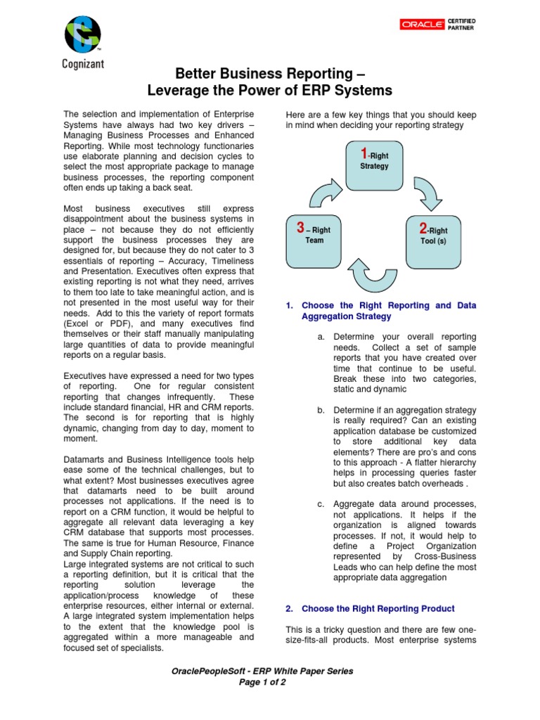 Enhancing ERP Reporting Strategies | PDF | Enterprise Resource Planning ...