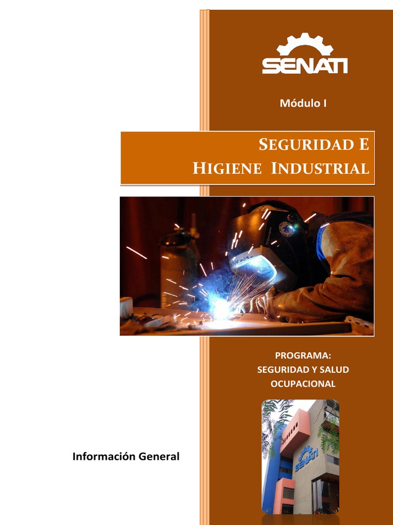Seguridad e Higiene Industrial SENATI