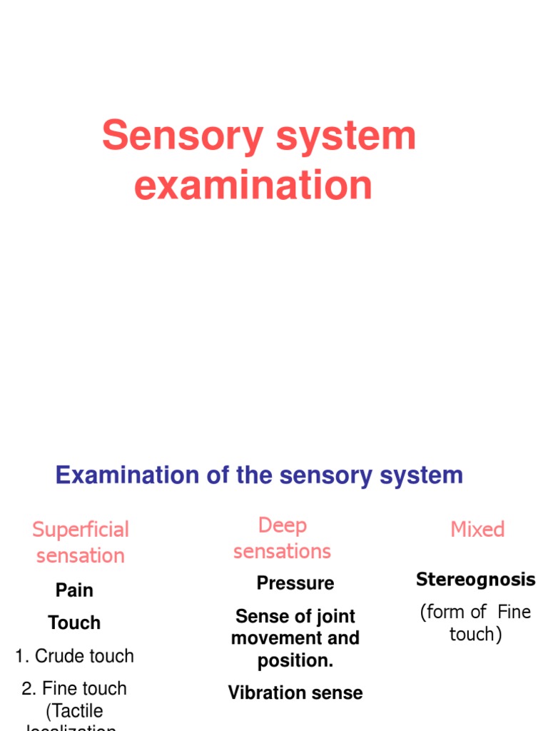 A Comprehensive Guide to Evaluating the Sensory System: Tests for Pain ...