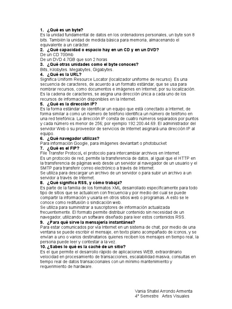 Qué Es Un Byte | PDF | Datos de computadora | Internet