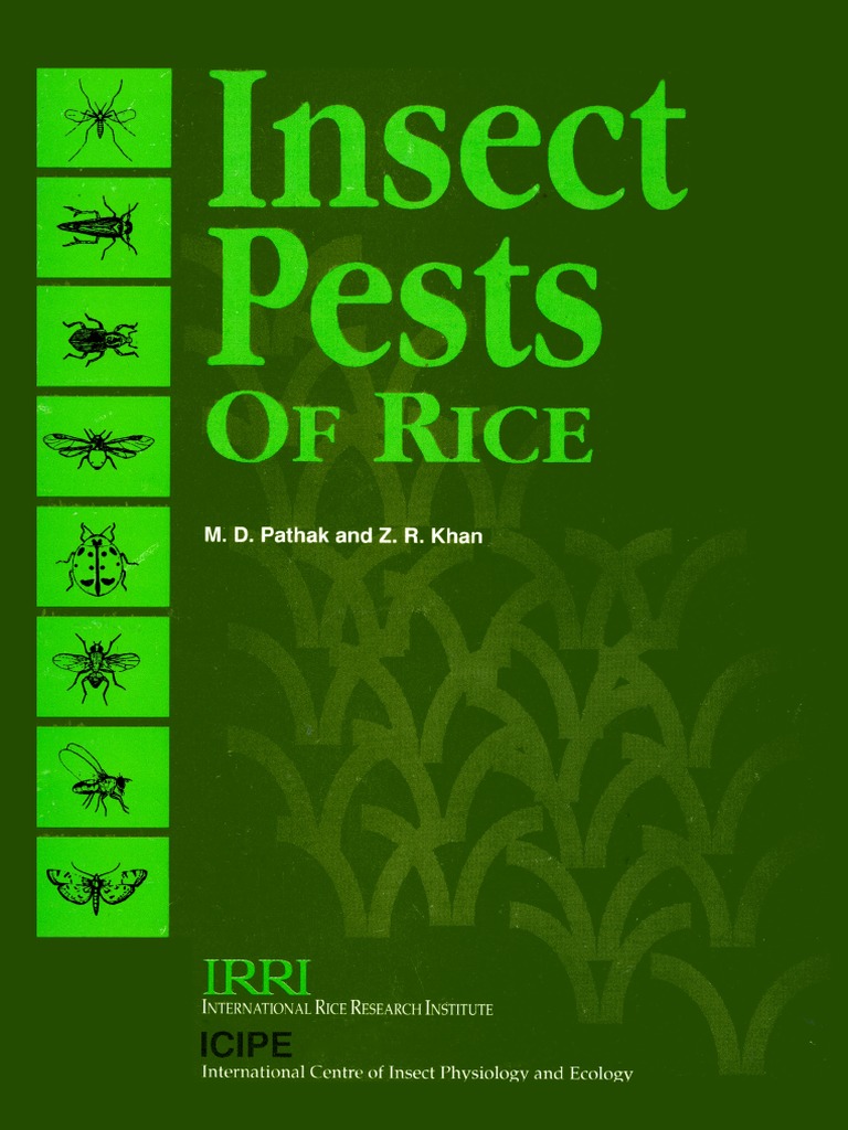 Insects Pests of Rice | Pupa | Biological Pest Control
