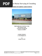 Container Damage Report | PDF | Nature