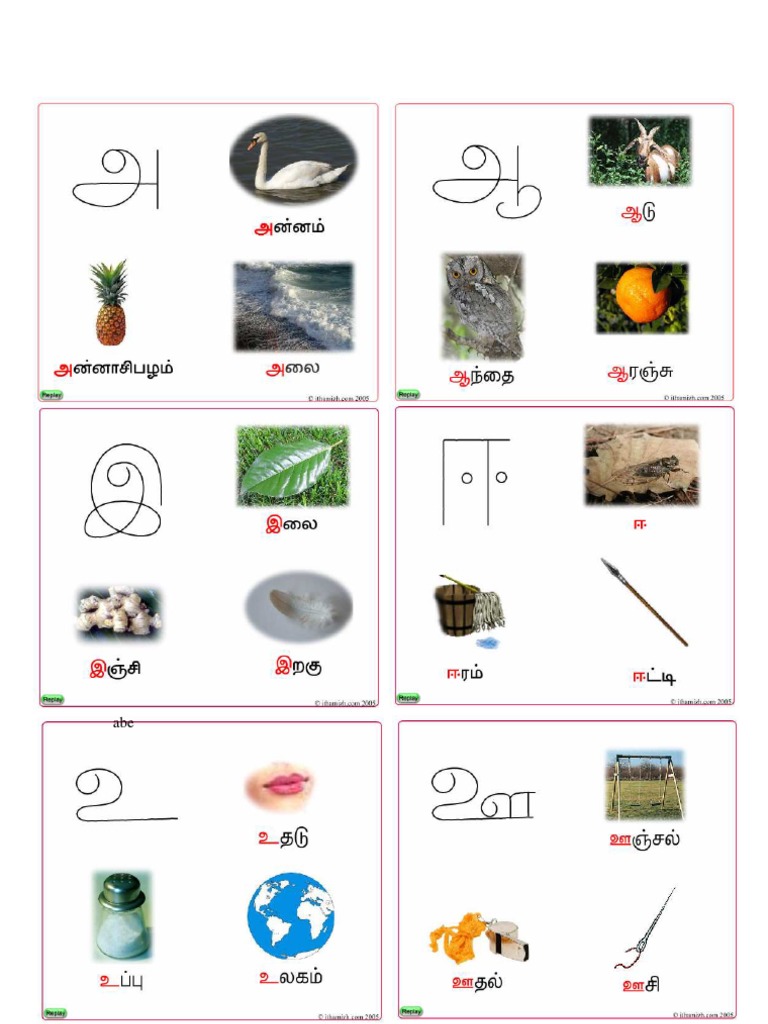 Tamil Alphabet | PDF