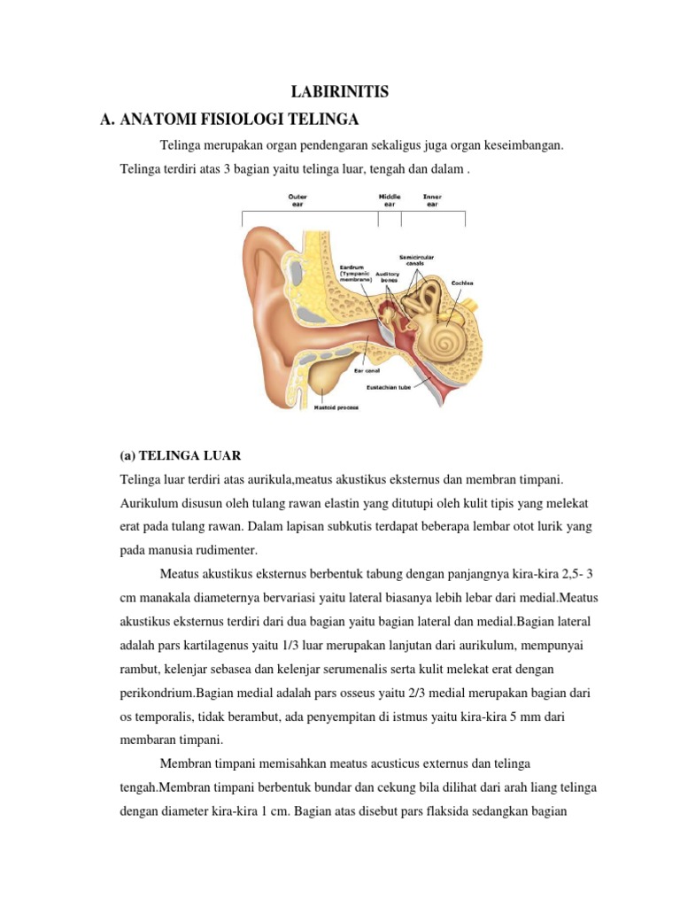 LABIRINITIS | PDF