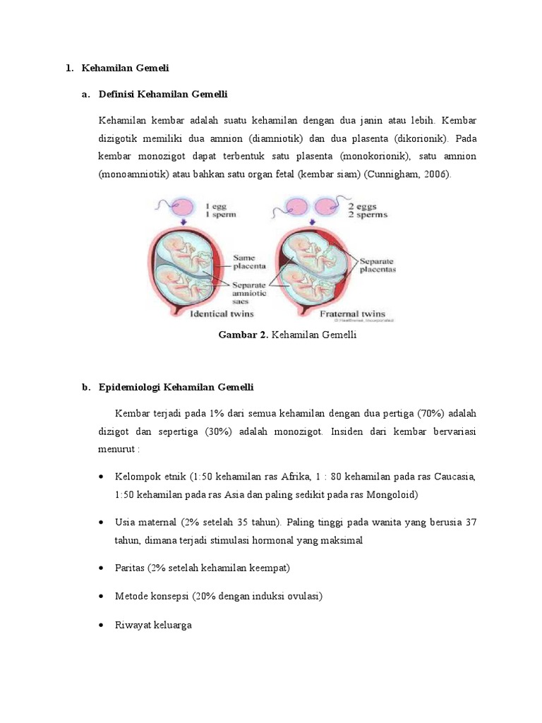 Kehamilan Gemeli | PDF